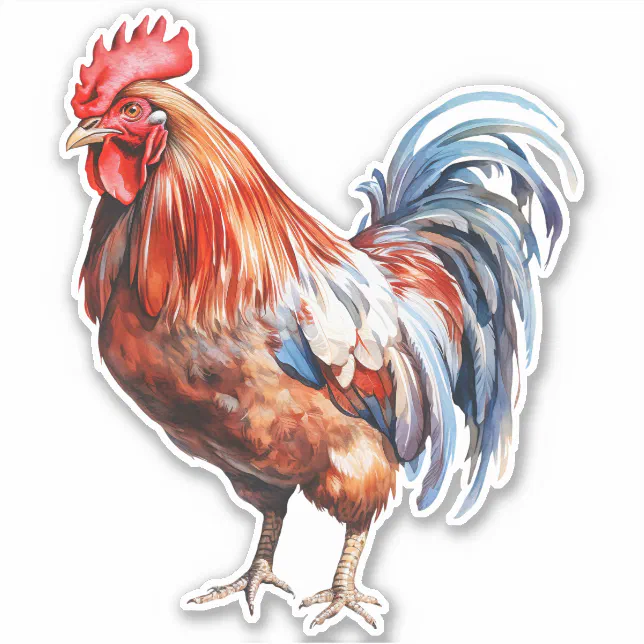 Rooster Sticker | Zazzle