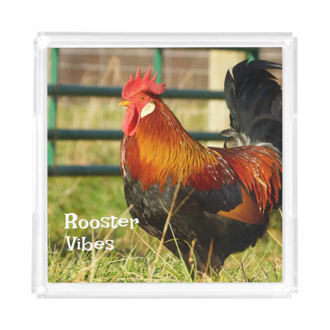 Rooster Vibes Farm Life Acrylic Tray | Zazzle