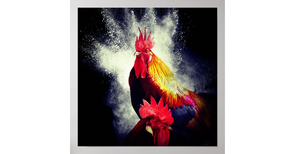 Roosters Poster | Zazzle
