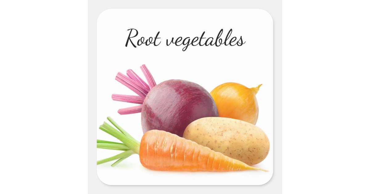 Root vegetables square sticker | Zazzle