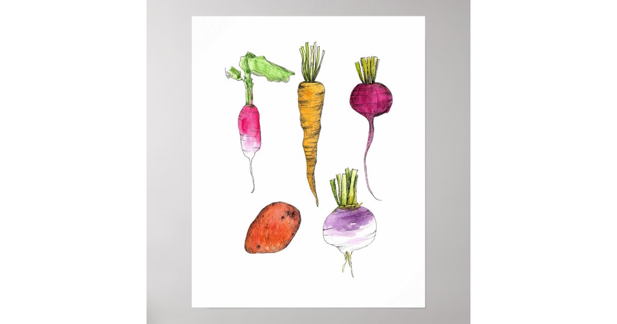 Root Vegetables Watercolor Ink Kitchen Art Poster | Zazzle