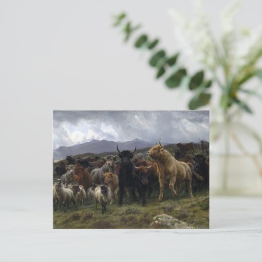 Rosa Bonheur Highland Raid Postcard | Zazzle