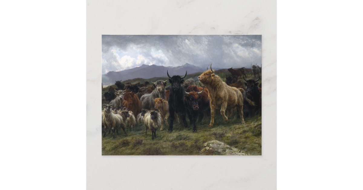 Rosa Bonheur Highland Raid Postcard | Zazzle