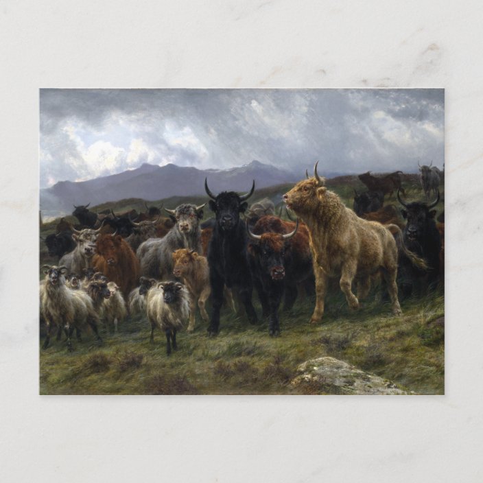 Rosa Bonheur Highland Raid Postcard | Zazzle.com