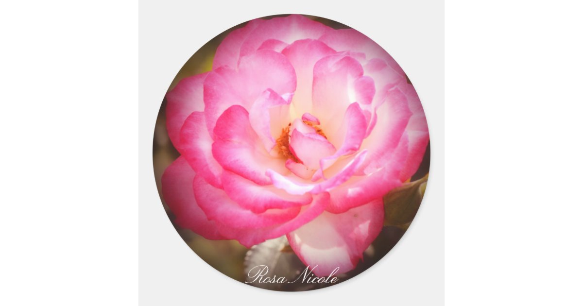 Rosa Nicole Classic Round Sticker | Zazzle