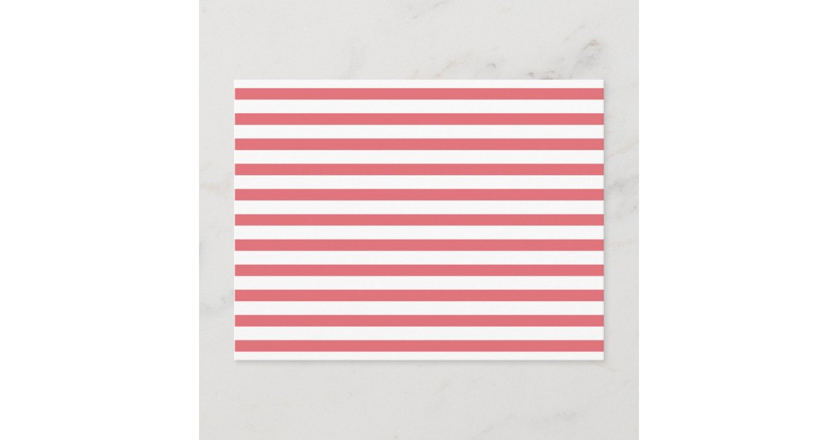 Rose and White Horizontal Stripe Postcard | Zazzle