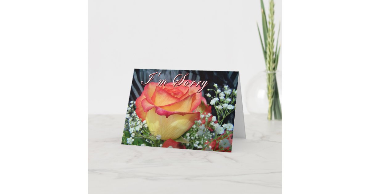 Rose Apology Card | Zazzle