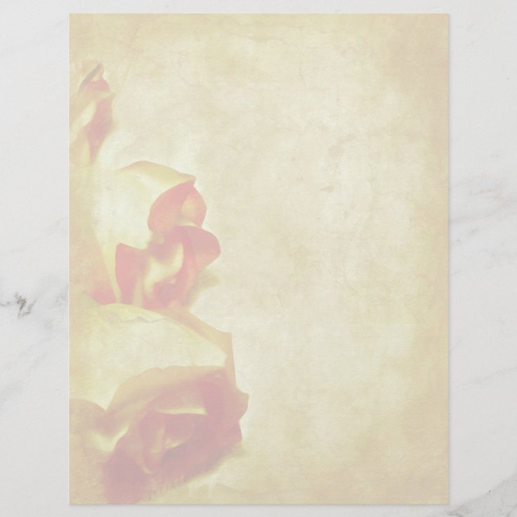Rose Border Letterhead | Zazzle