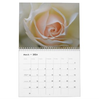 Rose Calendar | Zazzle