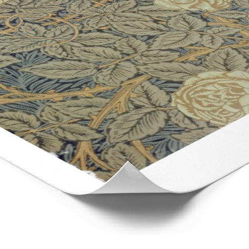 'Rose' design Poster | Zazzle