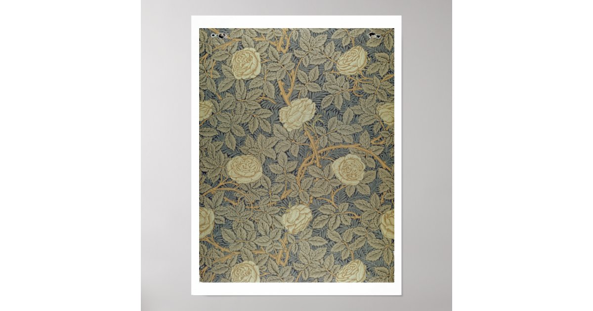 'Rose' design Poster | Zazzle