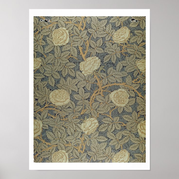 'Rose' design Poster | Zazzle