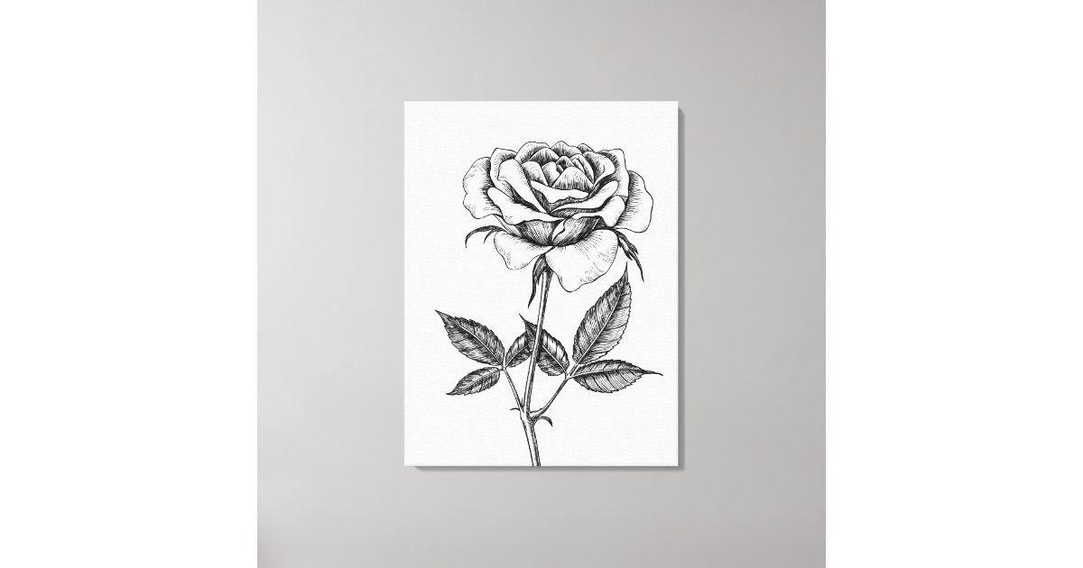 Rose drawing canvas print | Zazzle