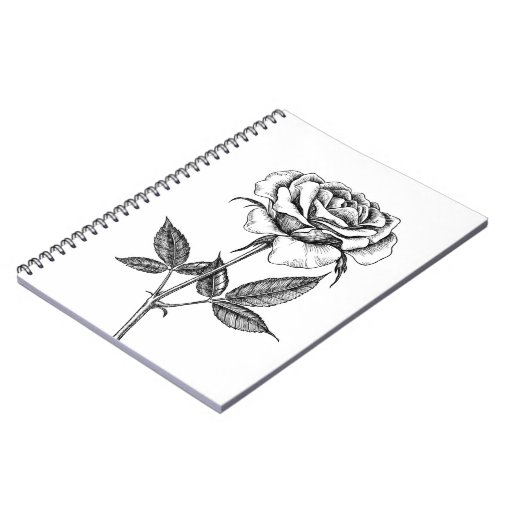 Rose drawing notebook | Zazzle