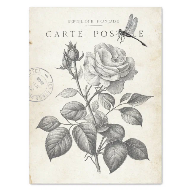 Rose Flower Dragonfly French Postmark Decoupage Tissue Paper | Zazzle