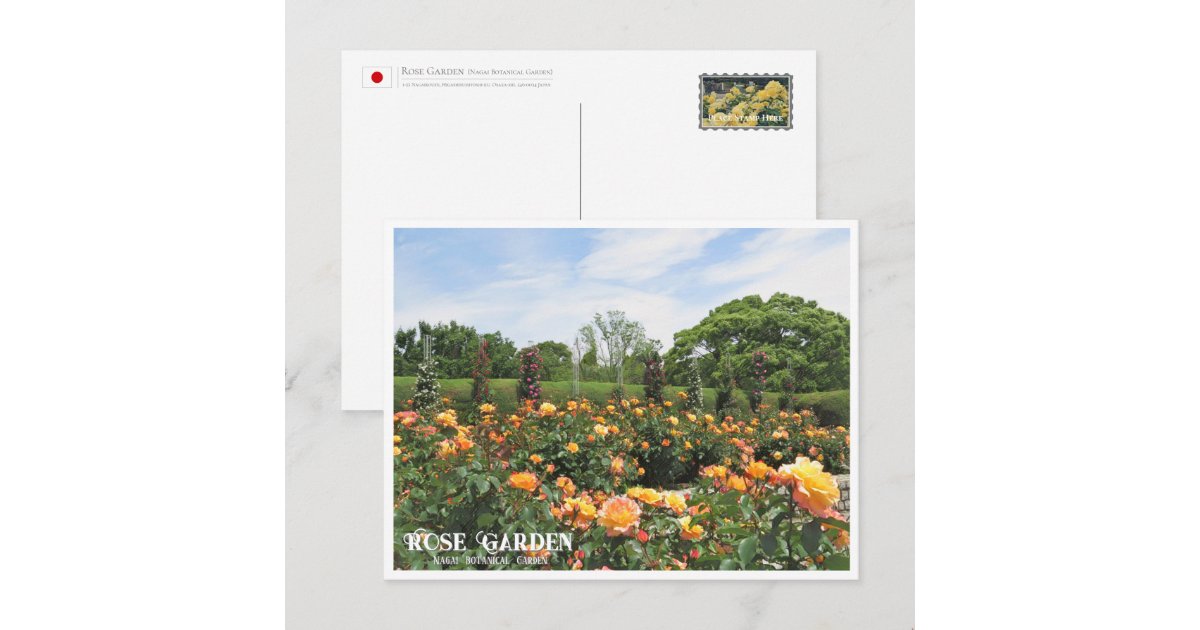 Rose Garden (Nagai Botanical Garden) Postcard | Zazzle