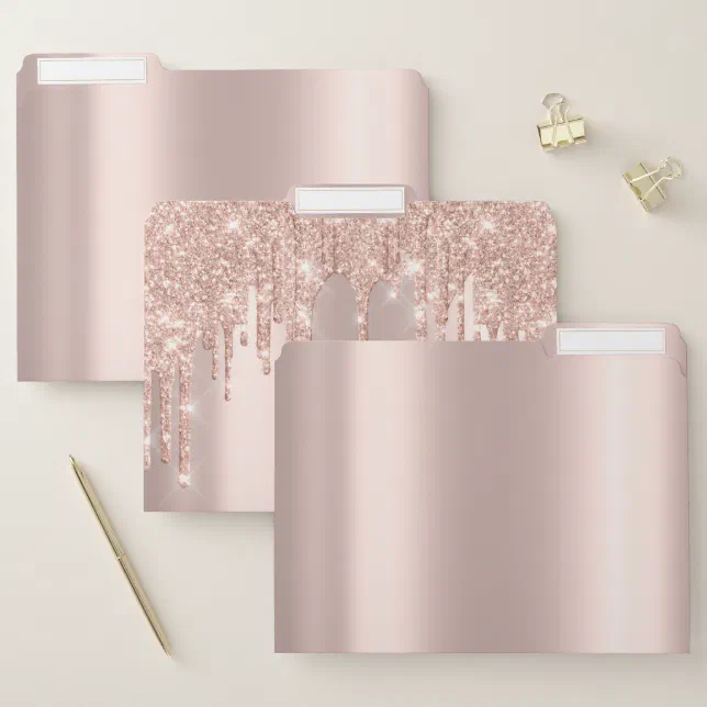 Rose Gold Metallic Minimal Beauty Studio Spark VIP File Folder | Zazzle