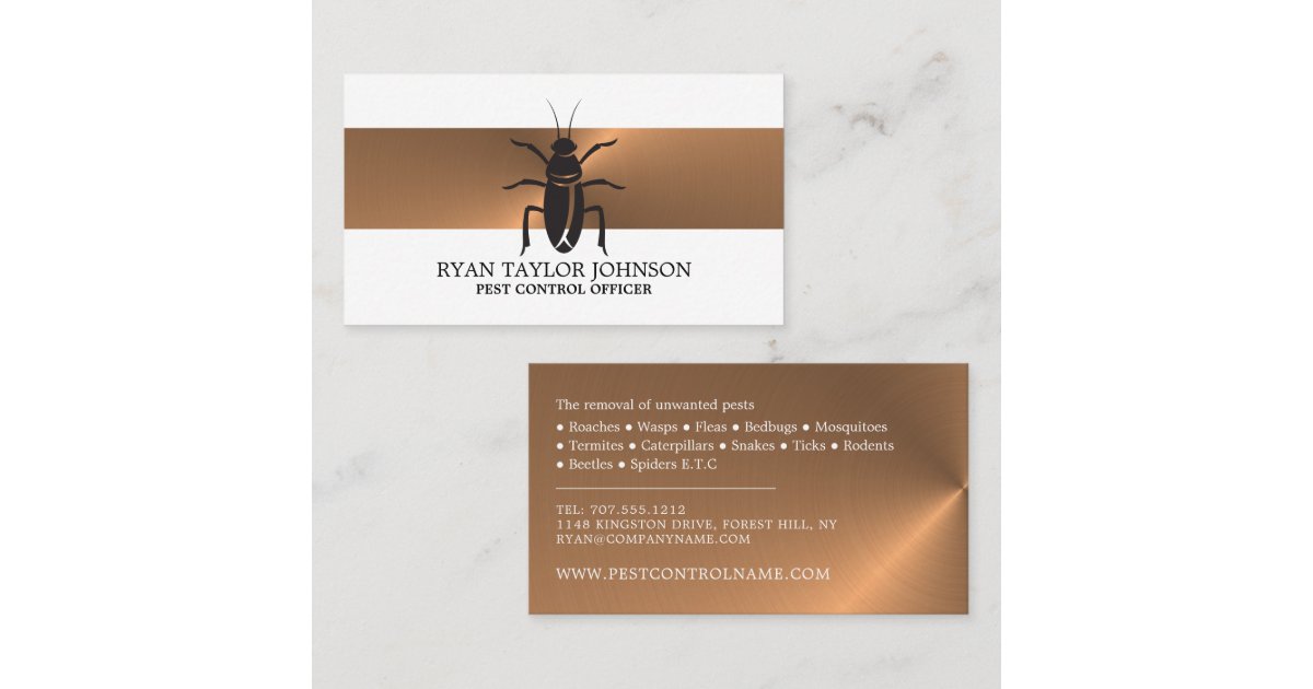 Rose Gold Strip - Black Cockroach - Pest Control Business Card | Zazzle