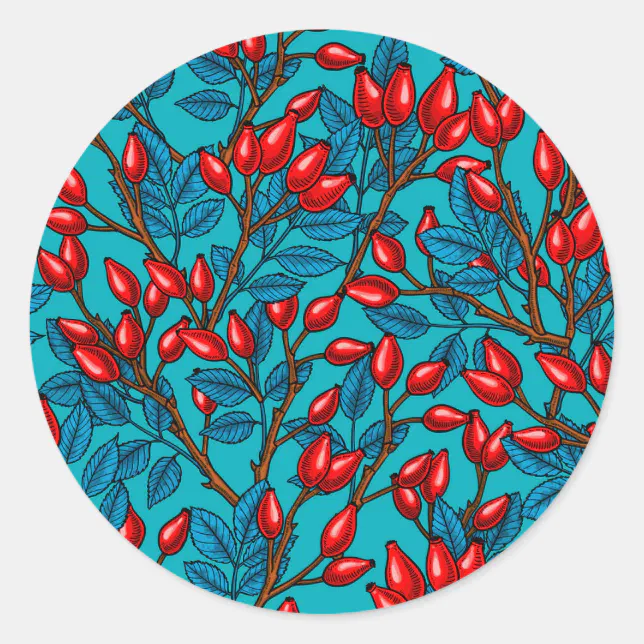 Rose hips, red and blue classic round sticker | Zazzle