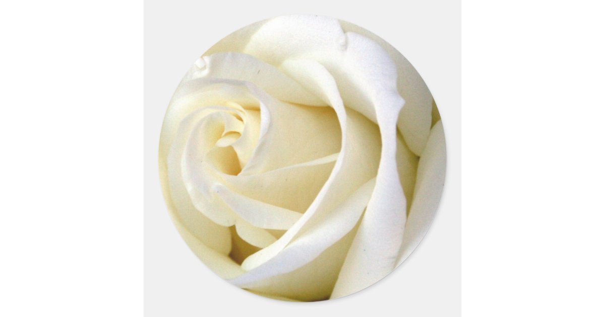 Rose White Classic Round Sticker | Zazzle