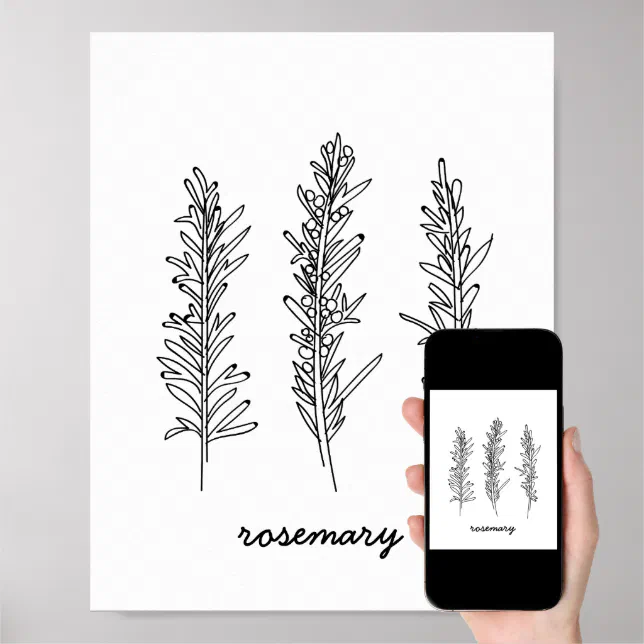 Rosemary Illustration Print | Zazzle