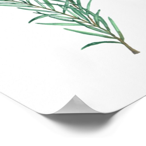 Rosemary Poster | Zazzle