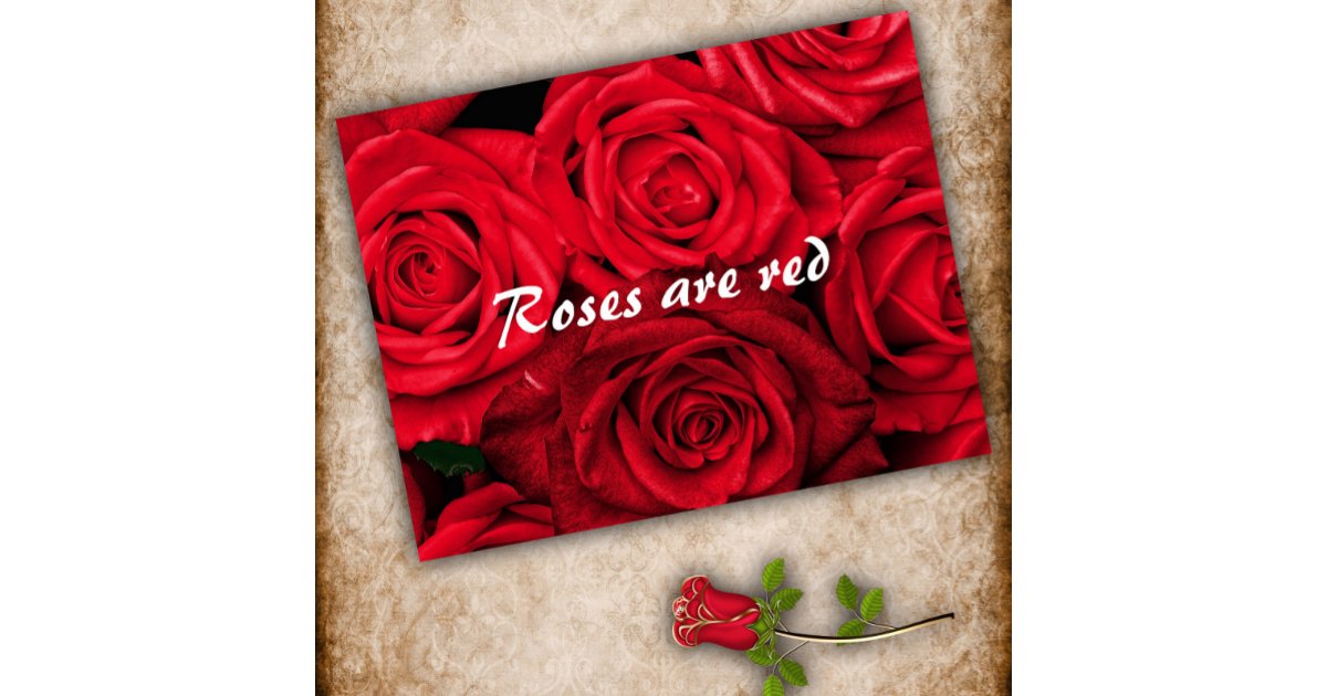 Roses are Red Valentine's Day Holiday Postcard | Zazzle