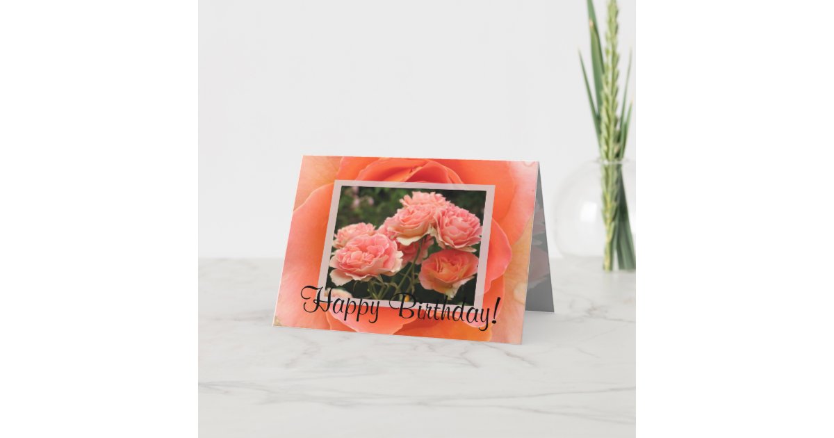 Roses Card | Zazzle.com
