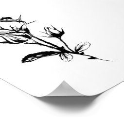 Roses Line Drawing Art | Ink Sketch of Rosebuds Poster | Zazzle