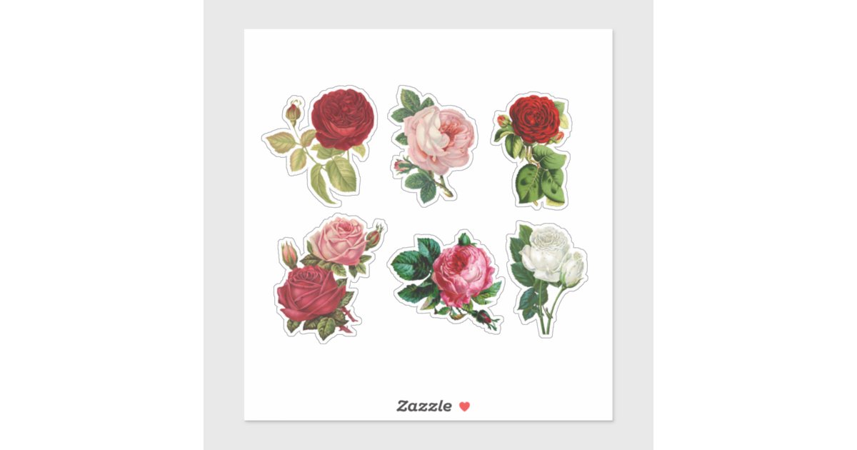 Roses Sticker | Zazzle