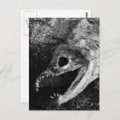 Rotten Fish Head Bones Postcard | Zazzle