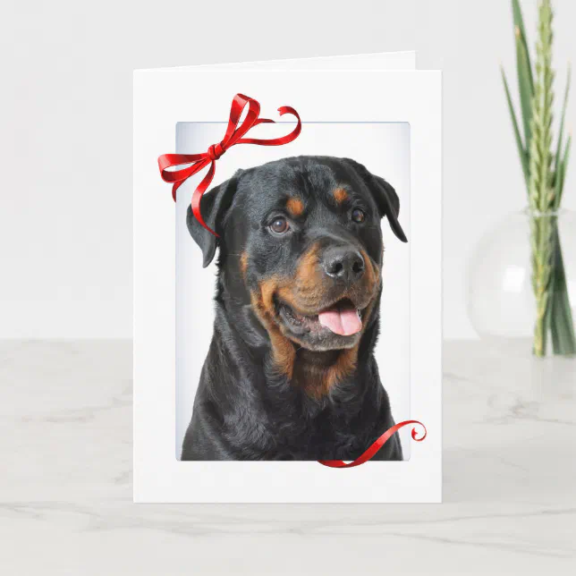 Rottie Christmas Card | Zazzle