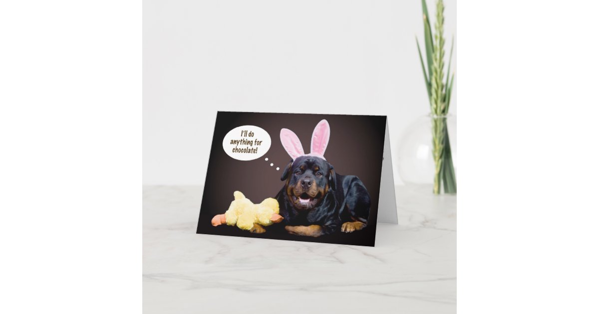 Rottie Easter Wish Holiday Card | Zazzle