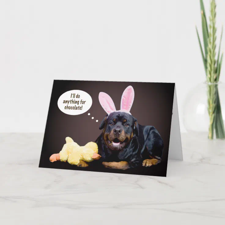 Rottie Easter Wish Holiday Card | Zazzle