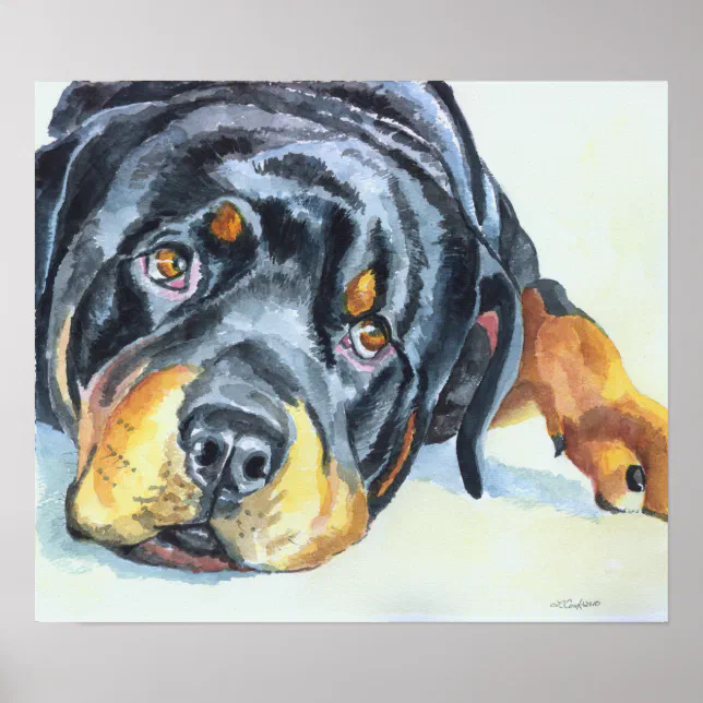 Rottweiler Art Print | Zazzle