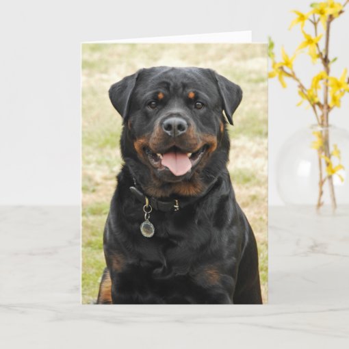 Rottweiler Birthday Card | Zazzle