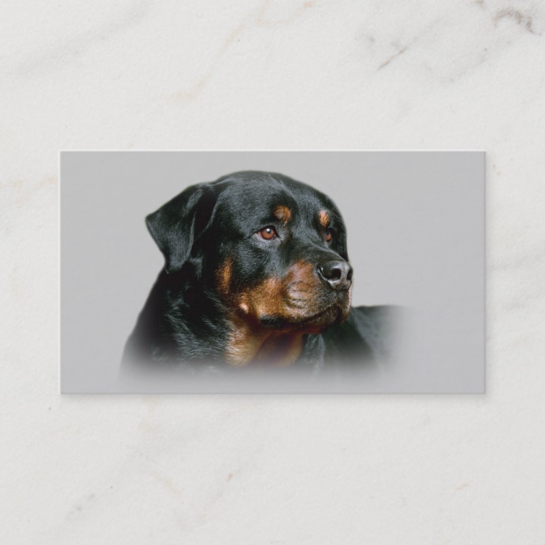 Rottweiler Breeder Business Card | Zazzle