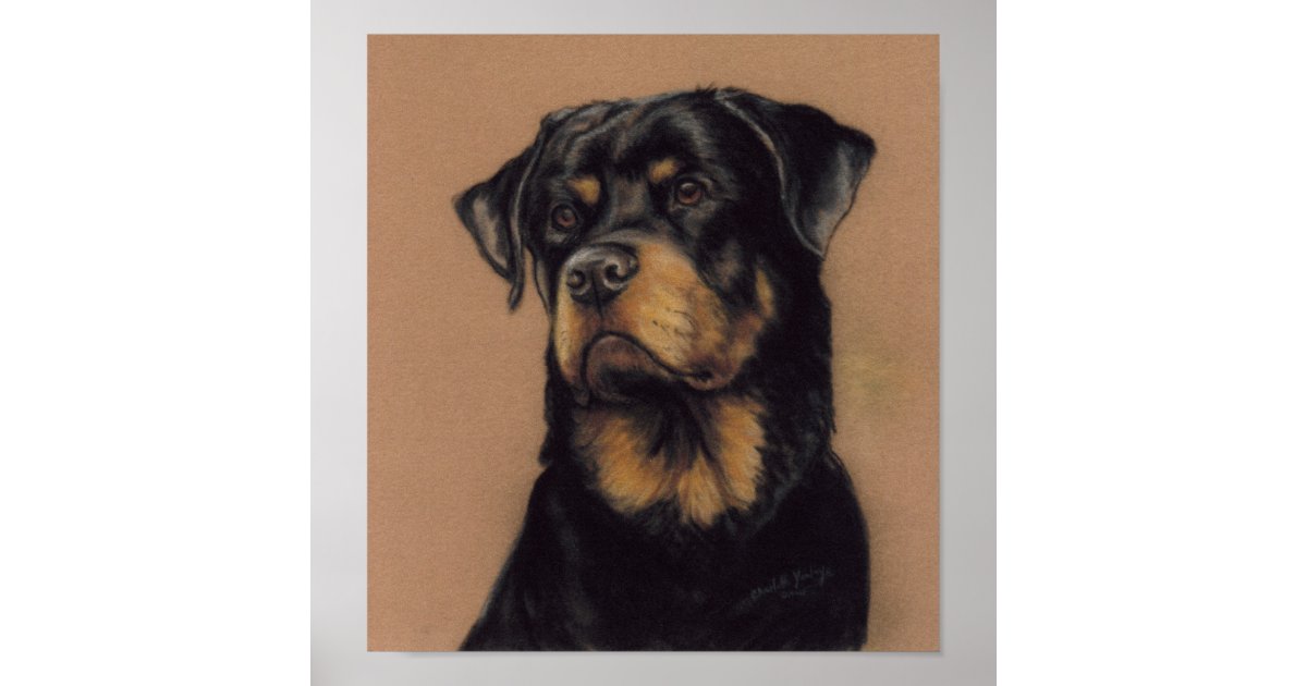 Rottweiler Dog Art Print | Zazzle