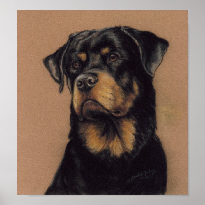 Rottweiler Dog Art Print | Zazzle.com