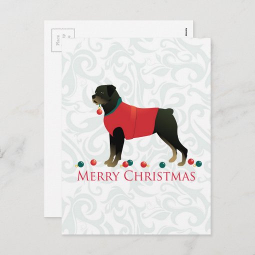 Rottweiler Merry Christmas Design Holiday Postcard | Zazzle