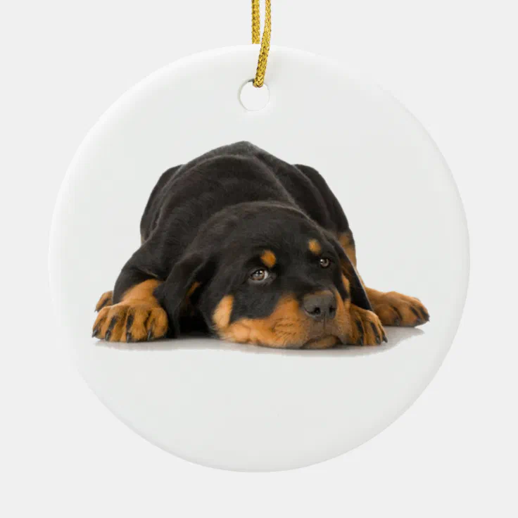 Rottweiler Ornament | Zazzle