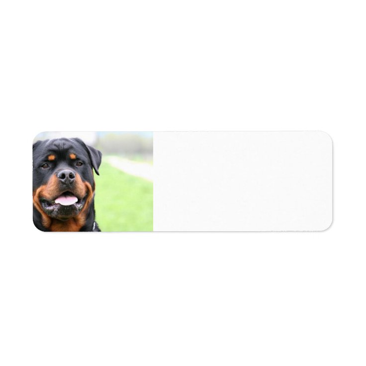 Rottweiler.png Label | Zazzle
