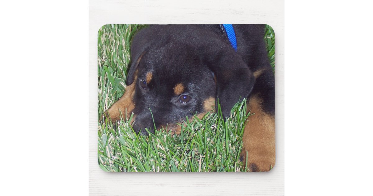 rottweiler pup. mouse pad | Zazzle