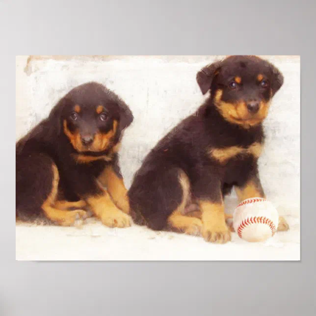 Rottweiler puppies poster | Zazzle