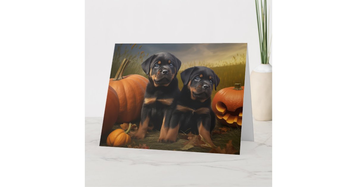 Rottweiler Puppy Autumn Delight Pumpkin Card | Zazzle