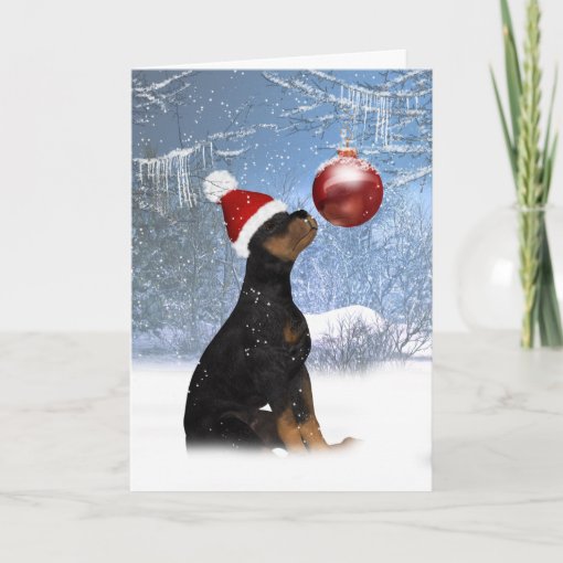 Rottweiler Puppy Christmas - Holiday Card | Zazzle