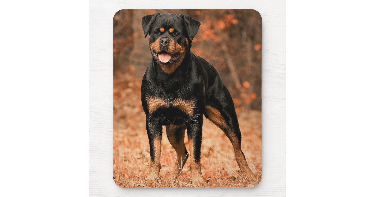 Rottweiler Puppy Dog Mouse Pad | Zazzle