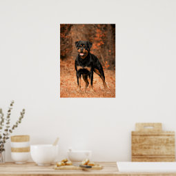 Rottweiler Puppy Dog Poster | Zazzle