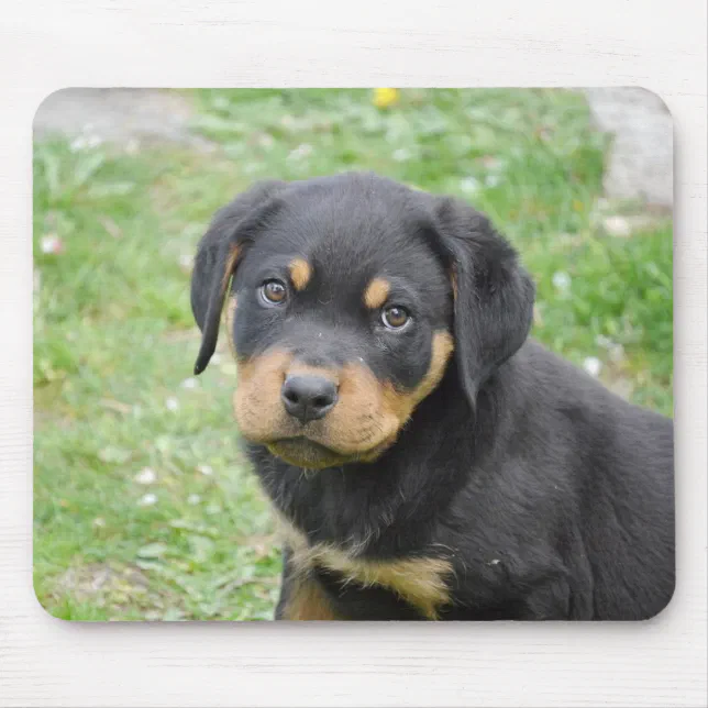 Rottweiler Puppy Mouse Pad | Zazzle