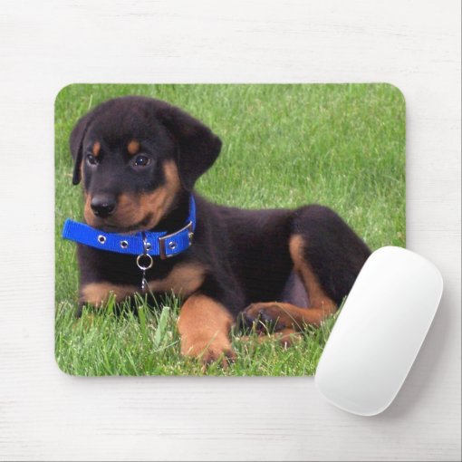 rottweiler pups. mouse pad | Zazzle